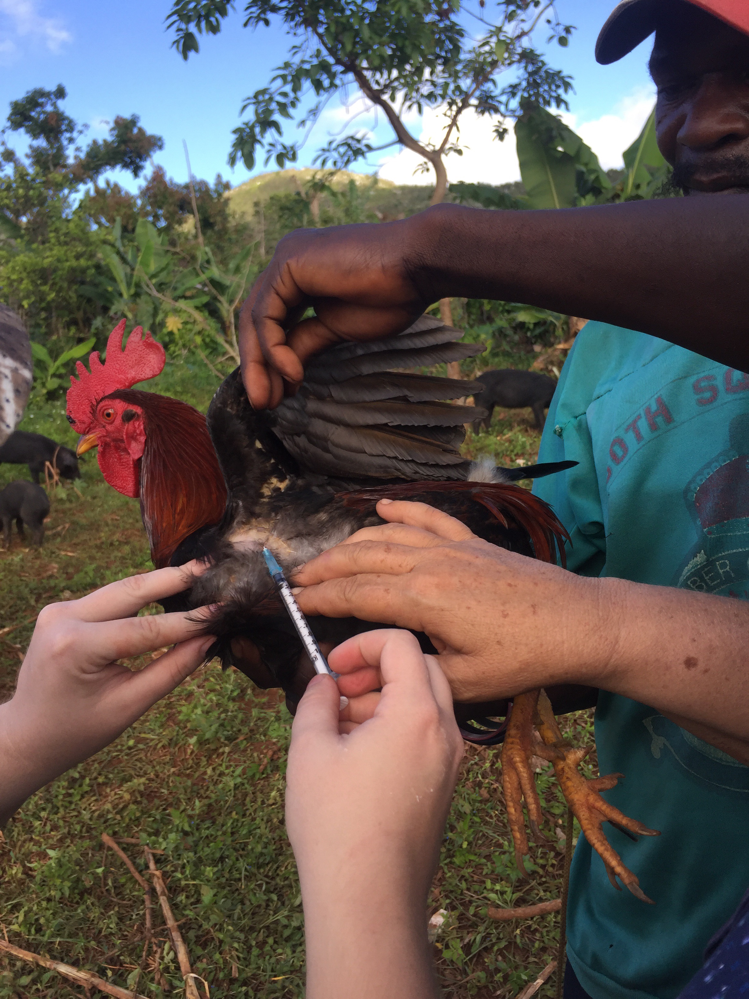 Veterinary Missions – Dr Vet Sonya