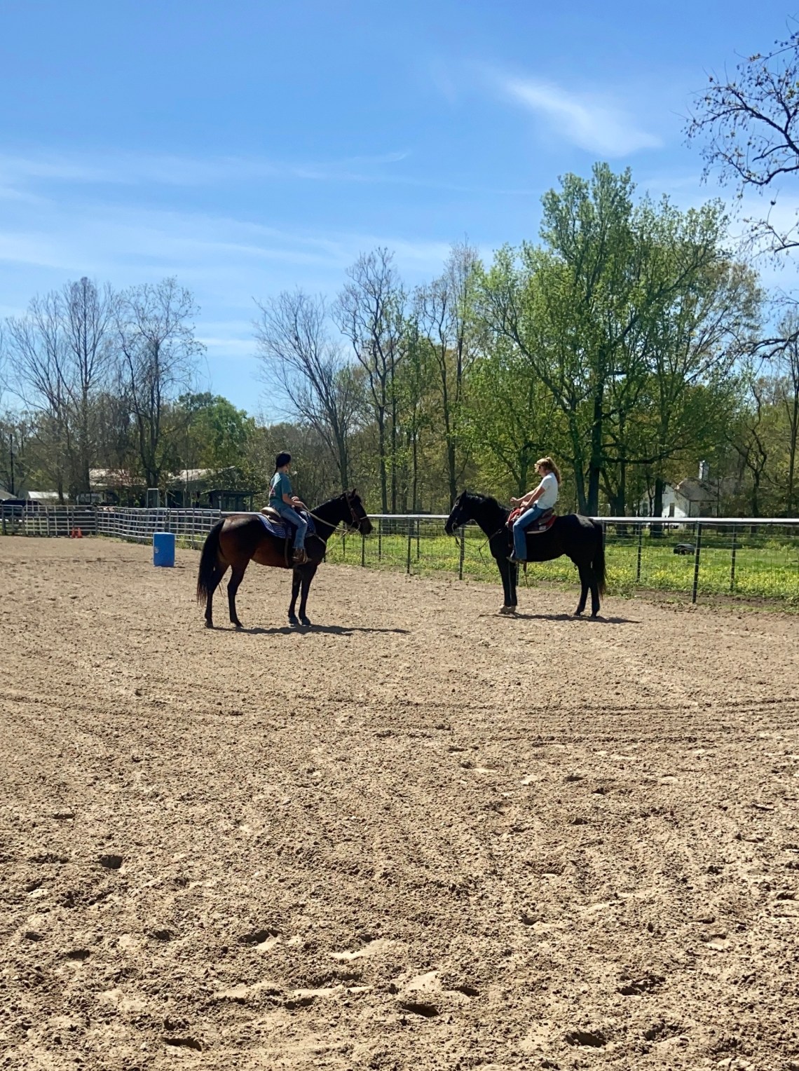 March 6, 2020 – Crochet, Barrels, and Robots – Dr Vet Sonya